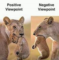 Change Your Viewpoint, Change Your Life - Your Quality Of Life Improves